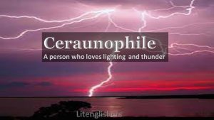 Litenglishers - 54 types of Philes