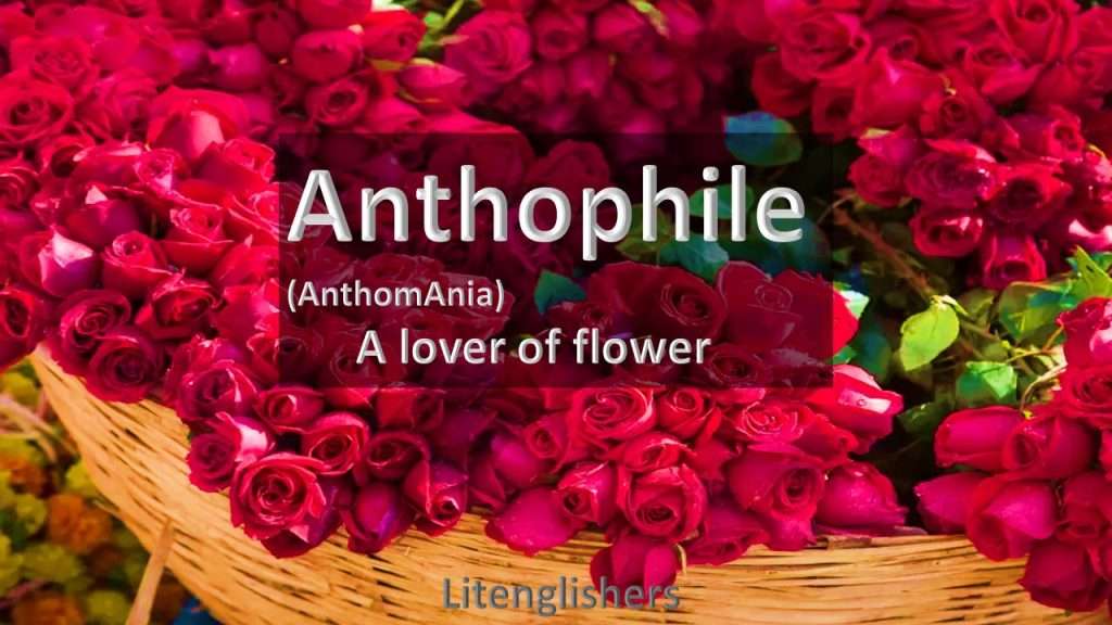 Litenglishers - 54 types of Philes