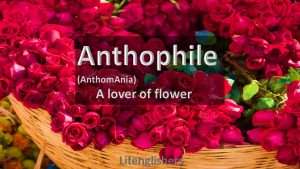 Litenglishers - 54 types of Philes