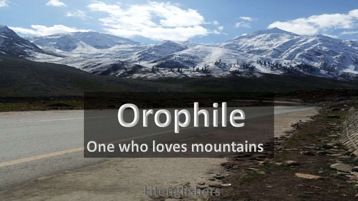 Litenglishers - 54 types of Philes