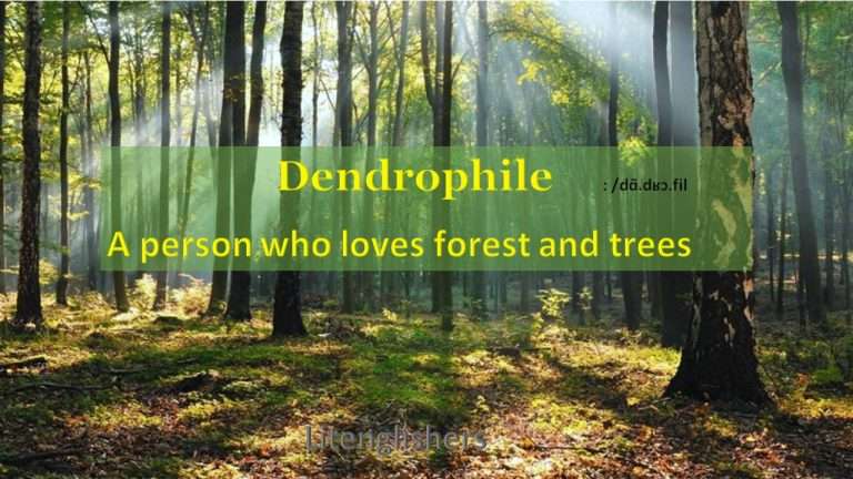 Litenglishers - 54 types of Philes