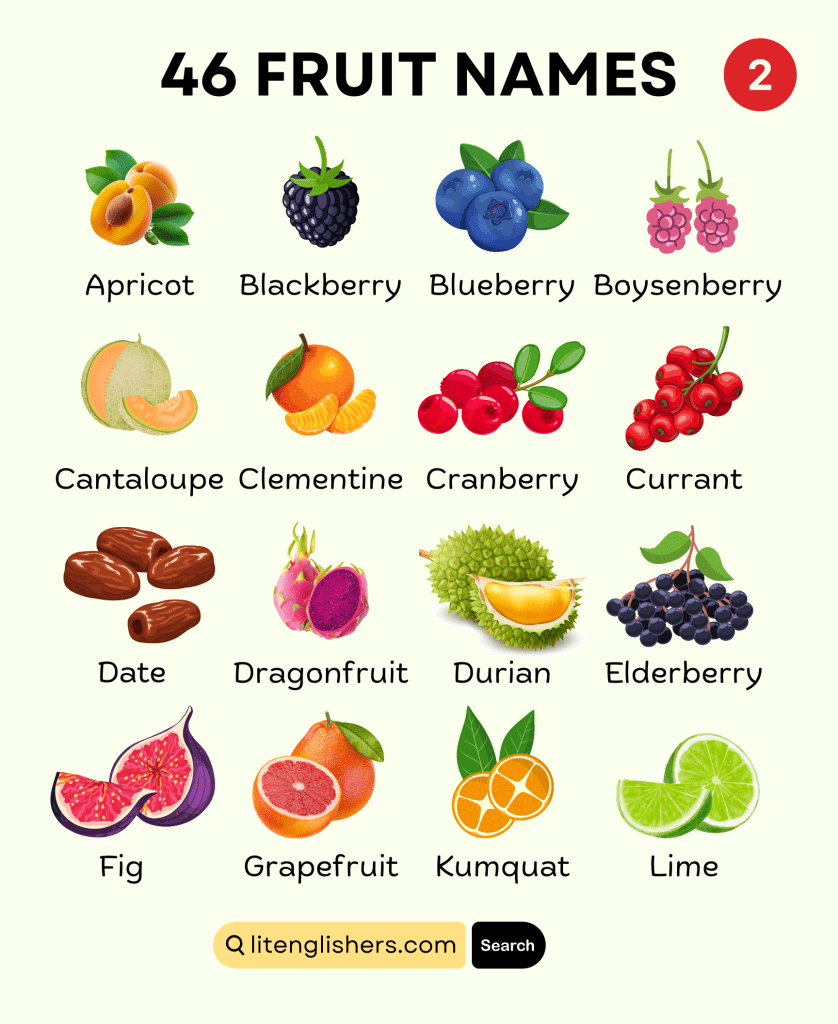 46 Common Fruit Names in English with Images