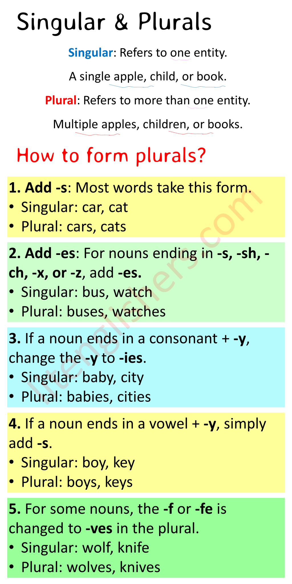 100 Singular and Plural Words in English