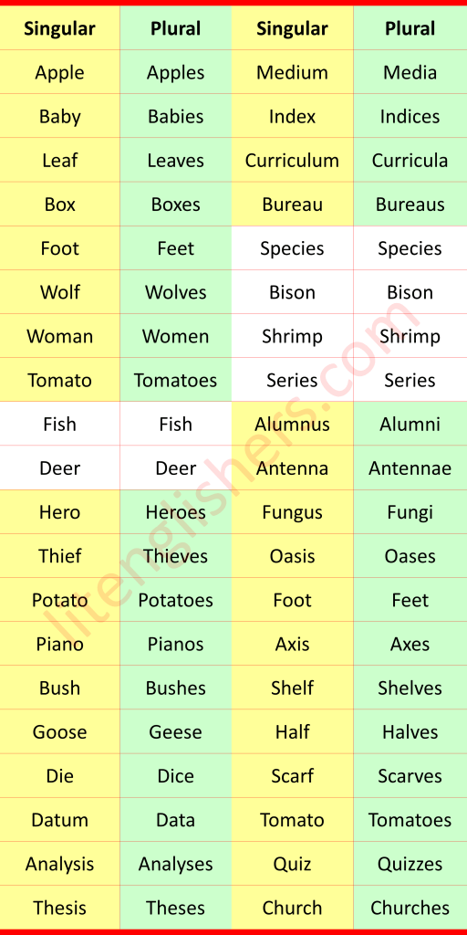100 Singular and Plural Words in English