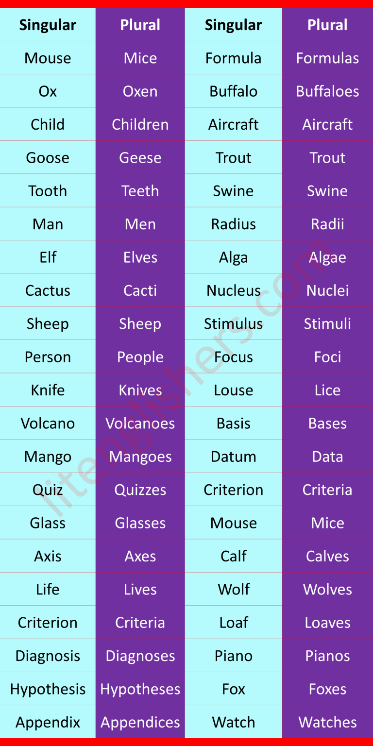 100 Singular and Plural Words in English