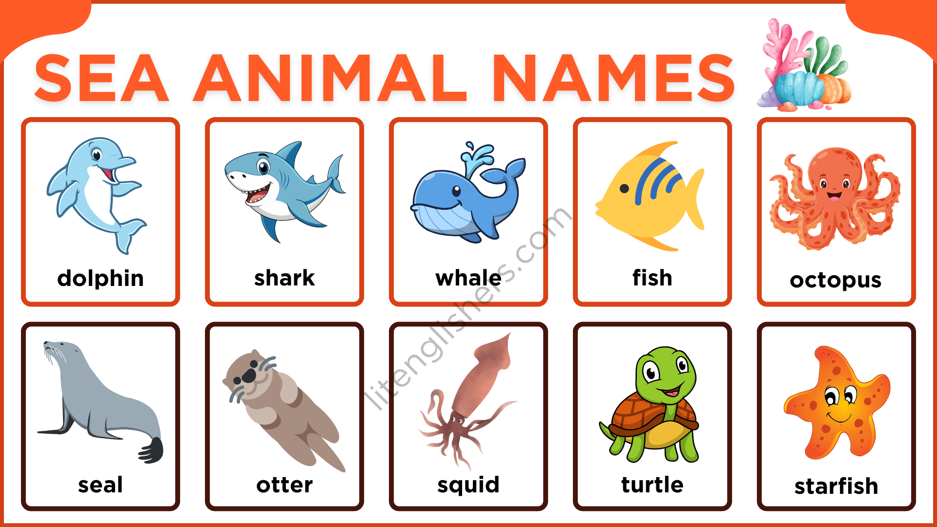 List of Sea Animal Names in English with Their Pictures