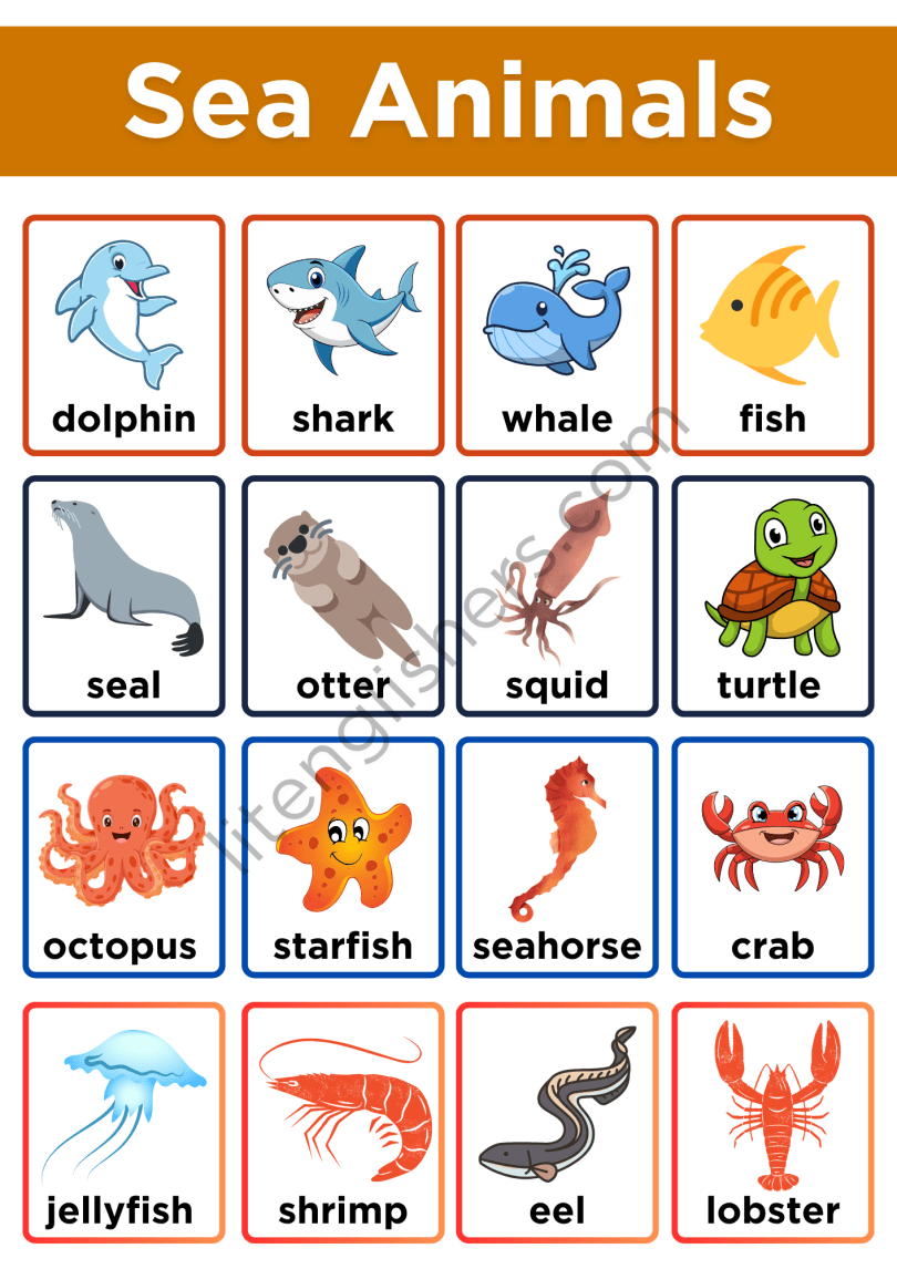 List of Sea Animal Names in English with Their Pictures